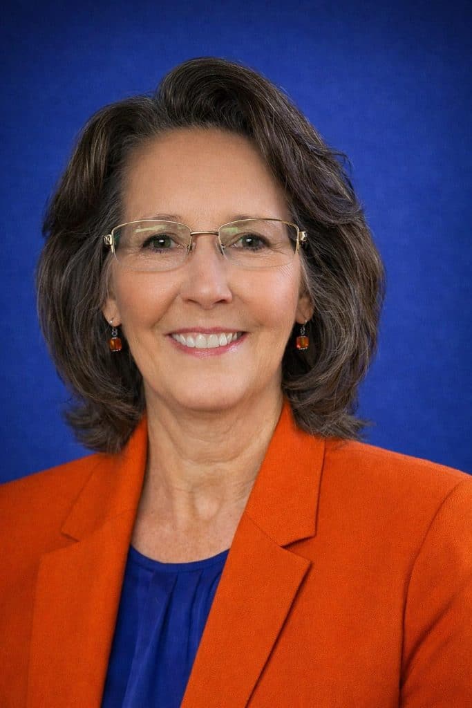 Palmer named vice president for institutional advancement - Baptist Message